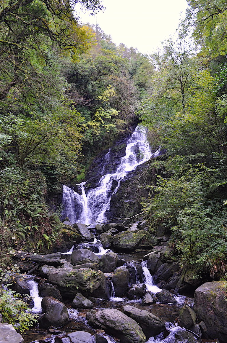Taking In The Unexpected Beauty Of The Ring Of Kerry