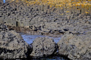 The Giant’s Causeway-A True Wonder Of The World