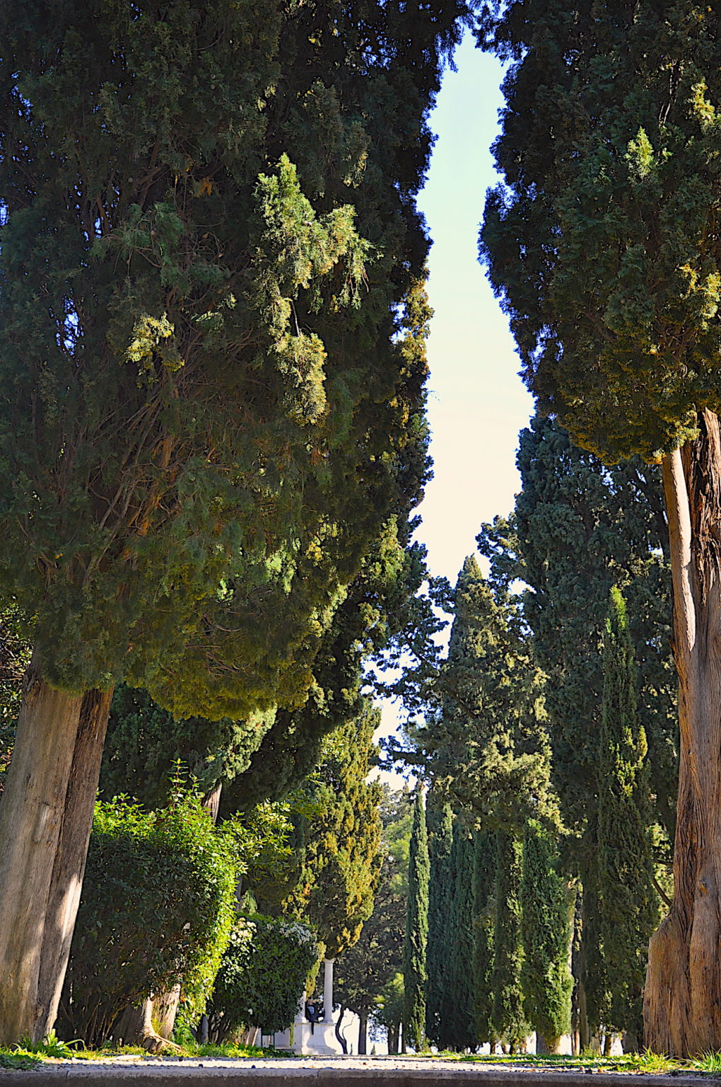 The Magic Of Split Croatia You Must See For Yourself